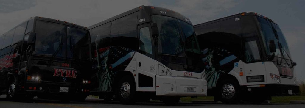 eyre-buses-back - Eyre Bus Service