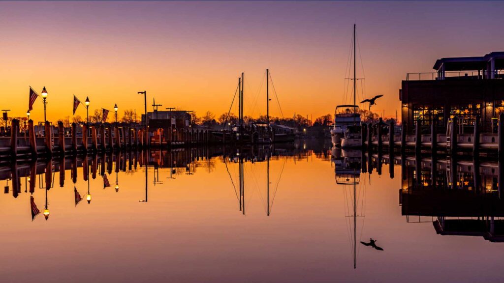 annapolis-sky-web - Eyre Bus Service